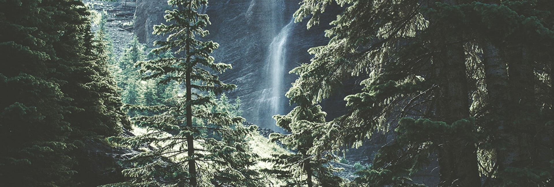 Segata Spa – Our catalogue